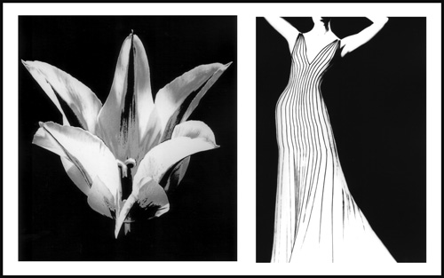 Lillian Bassman and Paul Himmel | Art Limited