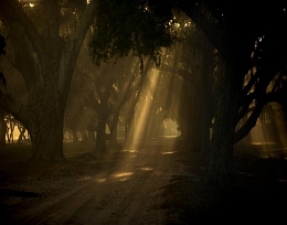 Jack Spencer, Beyond the Surface, Photography, Jackson Fine-Art ...
