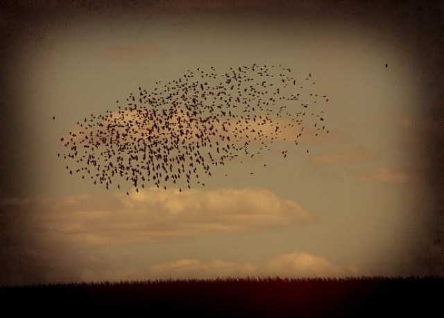 Jack Spencer, Beyond the Surface, Photography, Jackson Fine-Art ...
