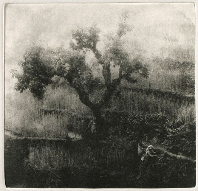 Peter Miller, Wayfinding. Photogravure etchings, Photography, The State ...