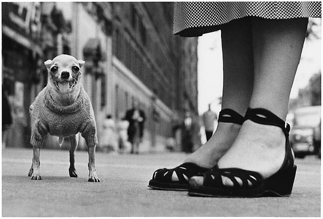 Elliott Erwitt, Platinum Prints, Photography, Edwynn Houk Gallery, New ...