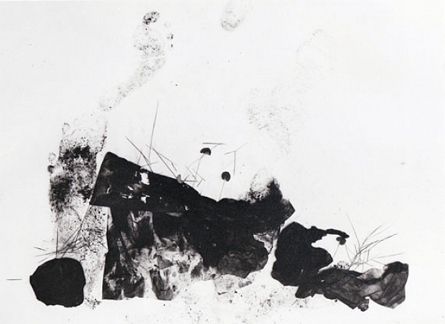 Adou, Leaves of Grass, Photography, m97 Gallery, Shanghai, China | Art ...