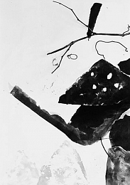 Adou, Leaves of Grass, Photography, m97 Gallery, Shanghai, China | Art ...