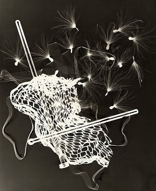 Lore Krüger, Une photographe en exil, 1934-1944, Photographie, Musée d ...