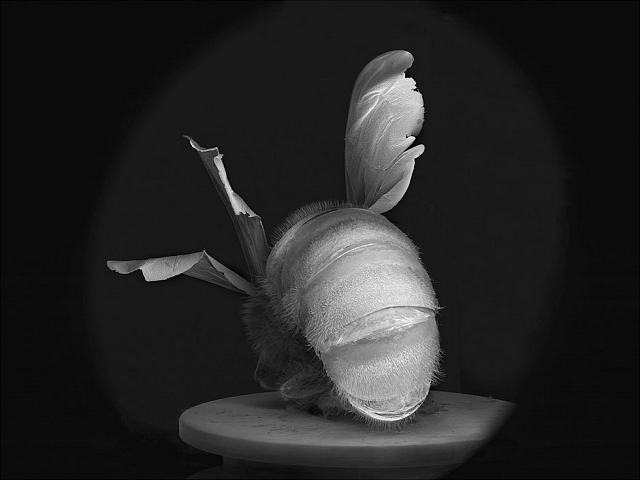 Anne Noble, No Vertical Song, Photography, Centre for Contemporary ...