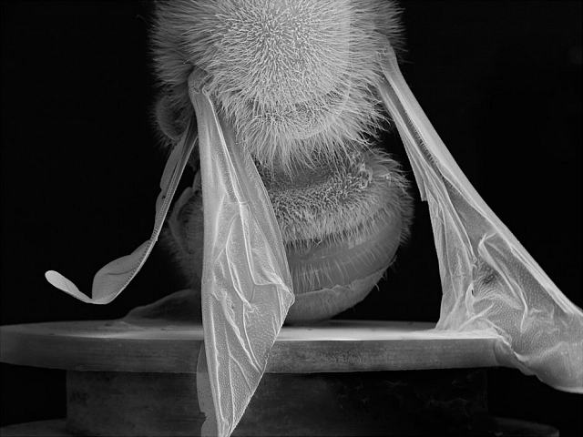 Anne Noble, No Vertical Song, Photography, Centre for Contemporary ...