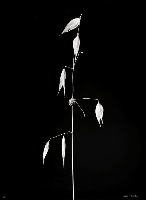 Denis Brihat, Photographies, Photographie, Fondation Carzou, Manosque ...