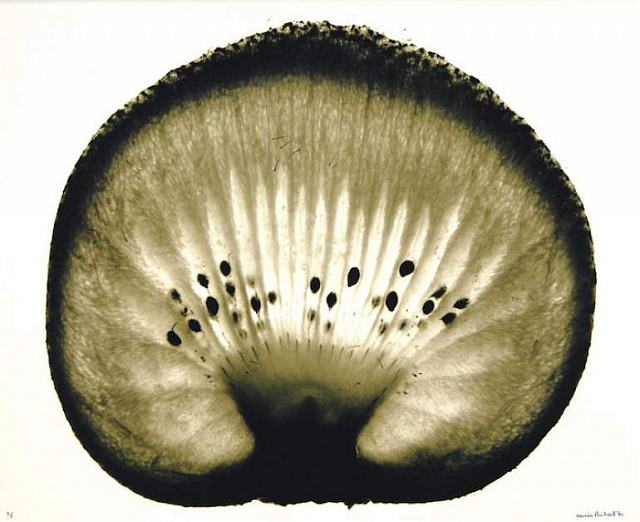 Denis Brihat, Photographies, Photographie, Fondation Carzou, Manosque ...