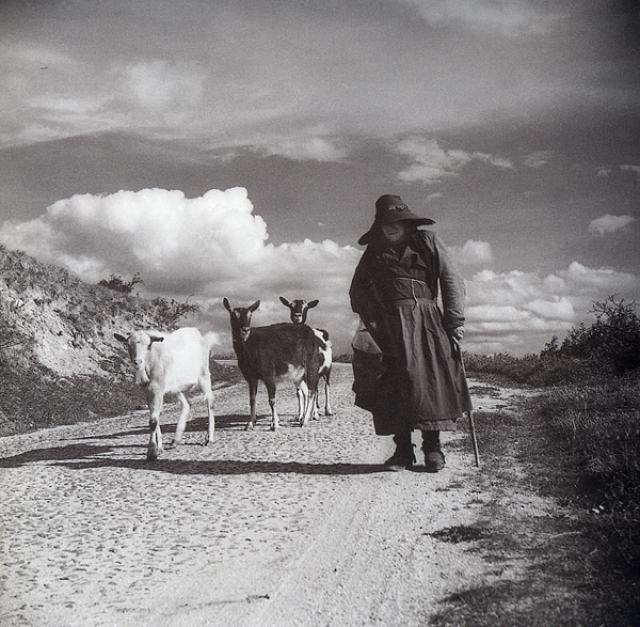 Albert Monier, Empreintes et paysages, Photographie, Muséum des Volcans ...