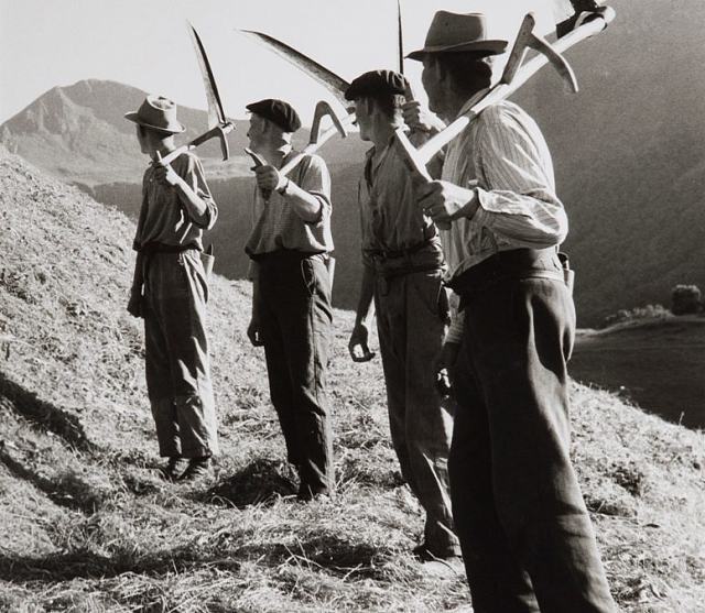 Albert Monier, Empreintes et paysages, Photographie, Muséum des Volcans ...