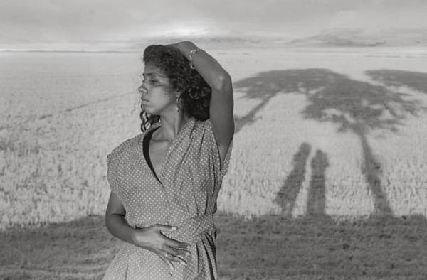 Willem Diepraam, 50 Years of Photography, Photography, Rijksmuseum ...