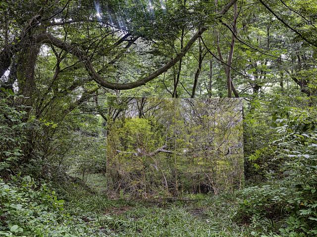 Gohar Dashti, Lands/s, Photography, Robert Klein Gallery, Boston ...