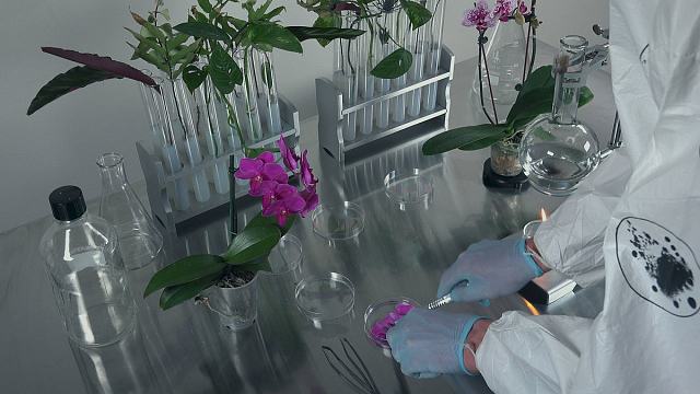 Anicka Yi, The Flavor Genome, Other, Espace Louis Vuitton, München ...