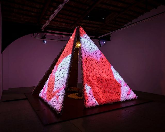 Eniola Dawodu, Doreen Lynette Garner & Ja'Tovia Gary, Partus/chorus ...