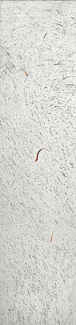 Collective Exhibition, Expanded Painting in the 1960s and 1970s ...