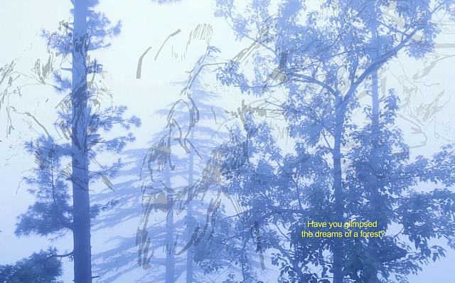 Hira Nabi, How to Love a Tree: Wild Encounters, Photography, Foam ...