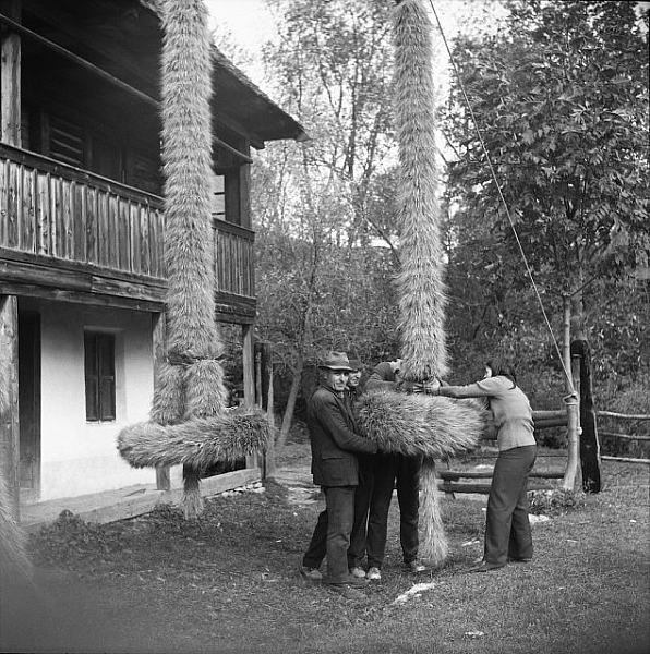 Ana Lupas, On this Side of the River Elbe, Other, Stedelijk Museum ...