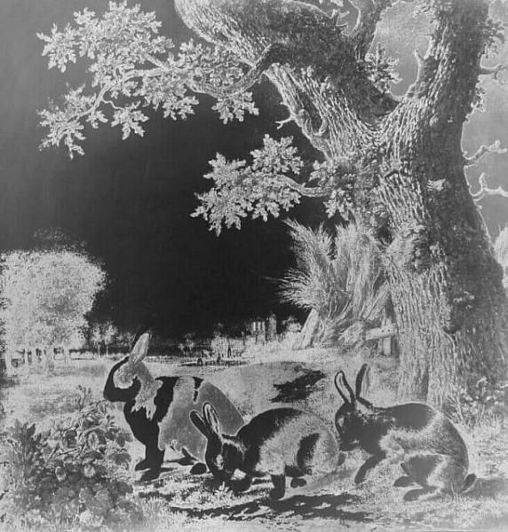 Lisa Oppenheim, Spolia, Photography, Huis Marseille, Amsterdam ...