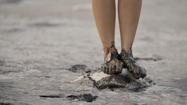 Hylozoic/Desires, Exhibition, Installation, Tate Britain, London ...