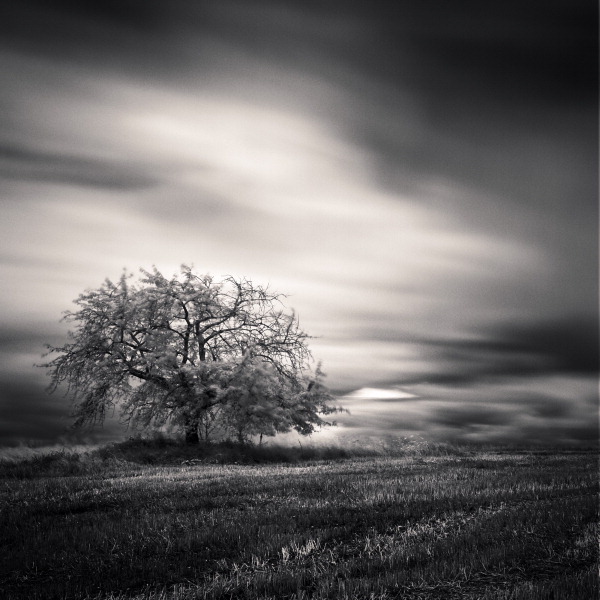 The Open Space Vii by Denis Olivier, Photography | Art Limited