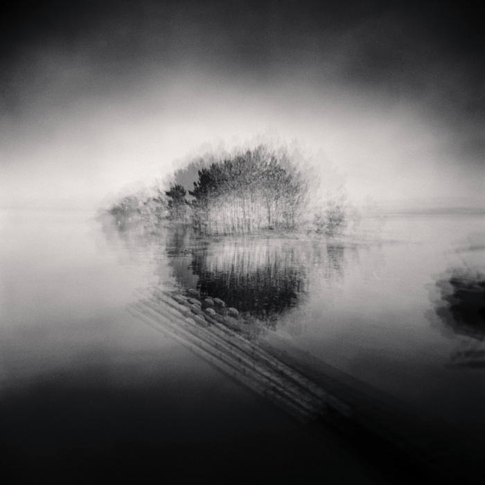 Little Forest On An Island, Study 2 by Denis Olivier, Photography, Medium-format film | Art Limited