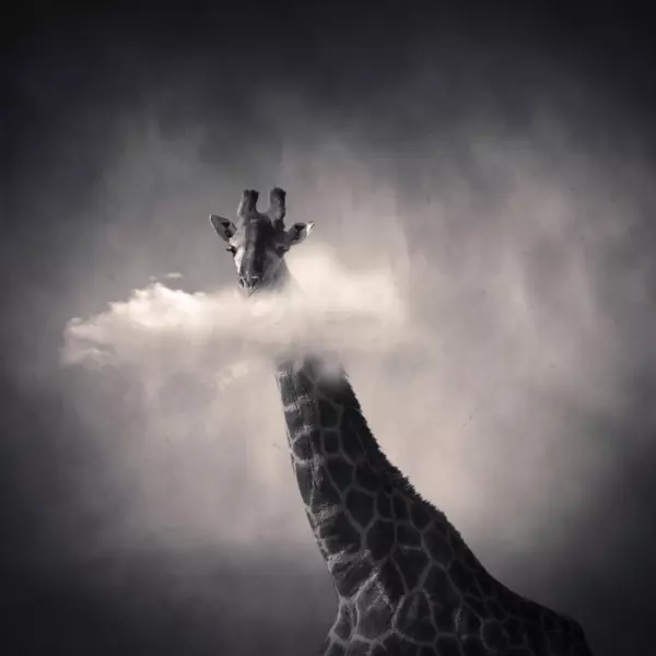 Dreamspace Reloaded #21 by Denis Olivier, Digital art, Composition ...