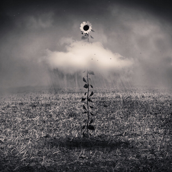 Dreamspace Reloaded #28 par Denis Olivier, Photographie, Montage ...