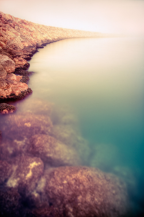 In Deep by Emmanuel Correia, Photography, Digital | Art Limited