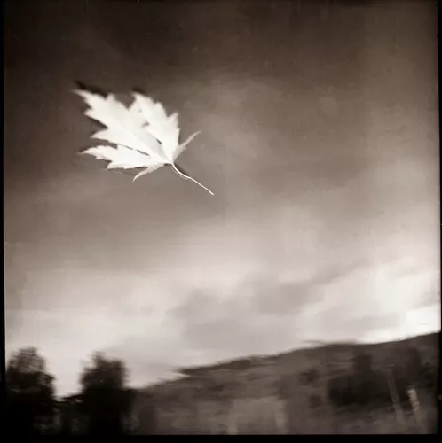 En vol by Jean-françois Scaianski, Photography, Medium-format film ...