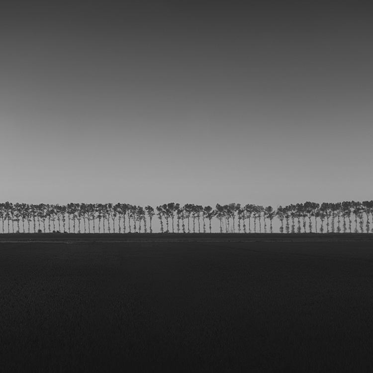 Linéarité by Marie-claude Strausz, Photography, Digital | Art Limited