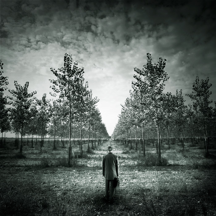 New ways by Tamás Ambrits, Photography, Montage, retouching | Art Limited