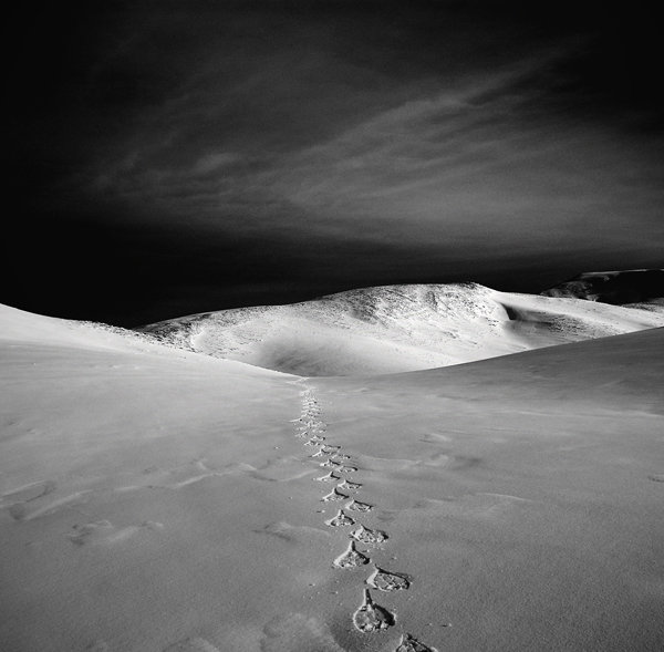 Uls by Bruno Blais, Photography, Digital | Art Limited