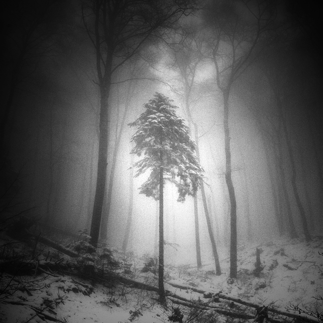 Protection by Bruno Blais, Photography, Digital | Art Limited