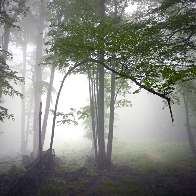 Trouble by Bruno Blais, Photography, Digital | Art Limited