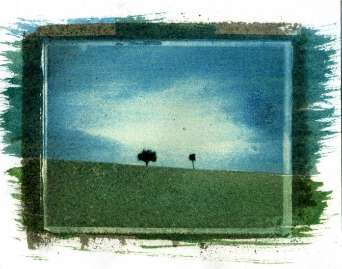 Print Gum Bichromate 007 by Charles Guerin, Photography | Art Limited