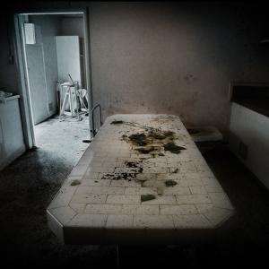 Tokanui by Mark Hamilton, Photography