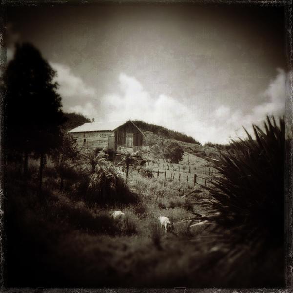 Untitled by Samuel Feron, Photography | Art Limited