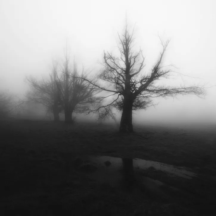 Walk in silence by Branislav Fabijanic, Photography, Digital | Art Limited