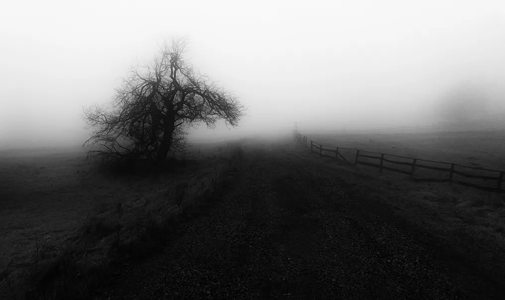 Lonely road by Branislav Fabijanic, Photography, Digital | Art Limited