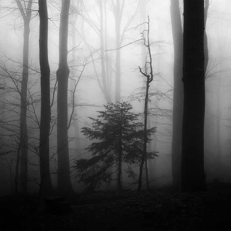 Hidden treasure by Branislav Fabijanic, Photography, Digital | Art Limited