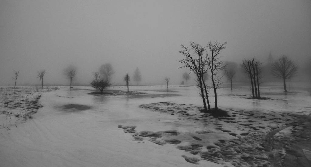 Frozen Morning by Branislav Fabijanic, Photography, Digital | Art Limited