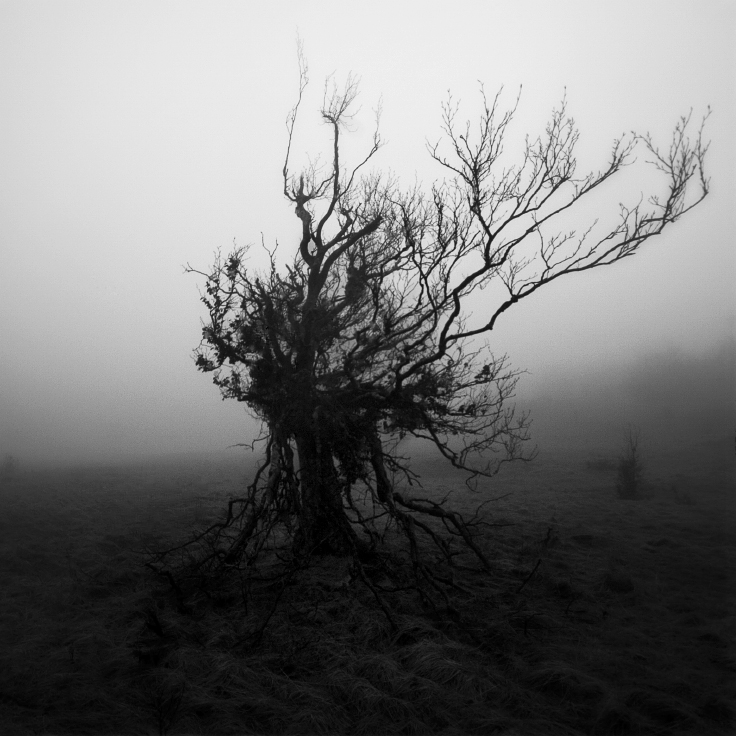 Life is so Hard by Branislav Fabijanic, Photography, Digital | Art Limited