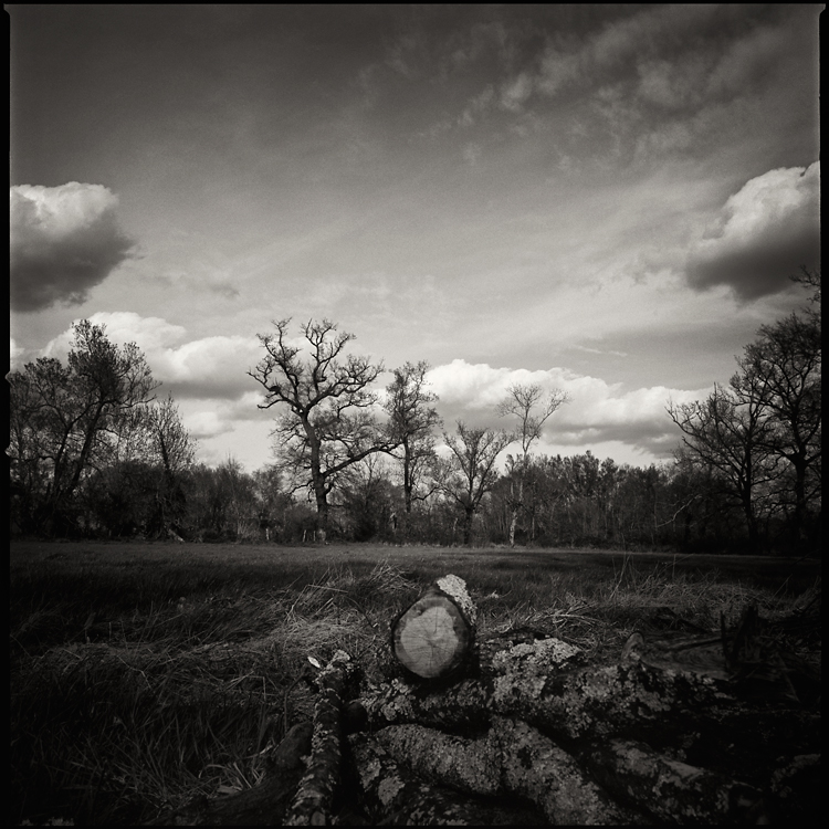 Mourir pour renaître un jour... by Thierry Magniez, Photography, Medium ...