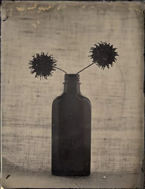 Ambrotype. Tree children by Tolstov Vadim, Photography, Large-format ...