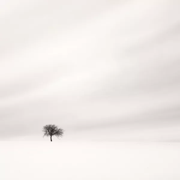 In the Fields.. by Serdar Akin, Photography | Art Limited