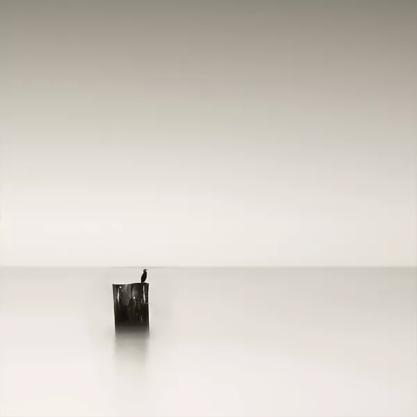 W a i t i n g by Serdar Akin, Photography | Art Limited