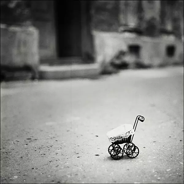 Untitled by Elena Lysenko, Photography | Art Limited