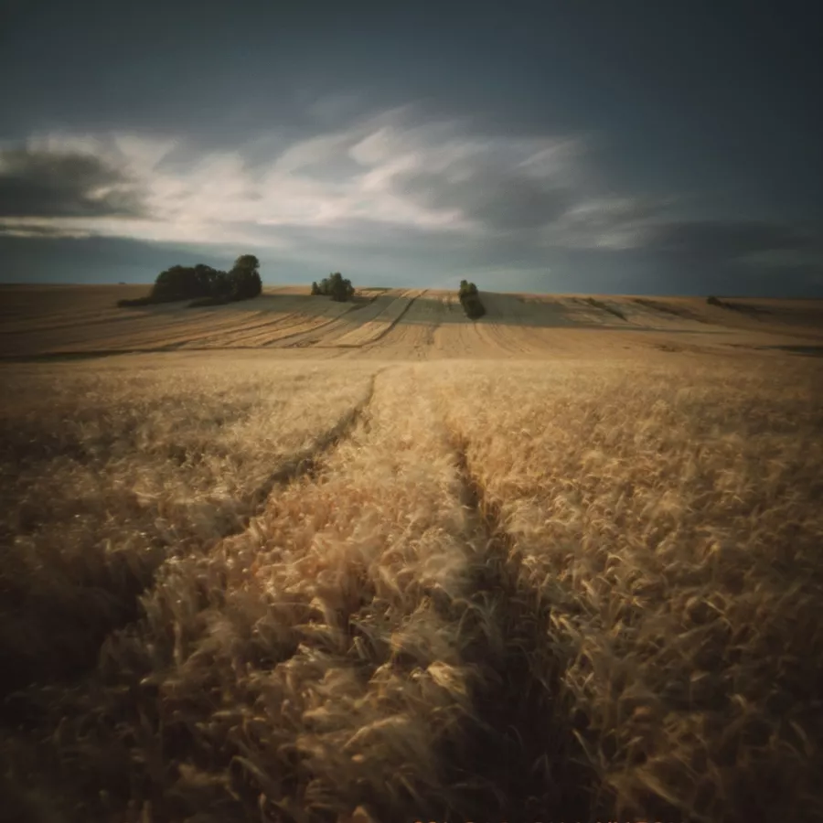 Untitled by Leszek Kowalski, art work | Art Limited