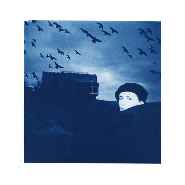 Birds-2 by Alexander Tkachev, art work | Art Limited