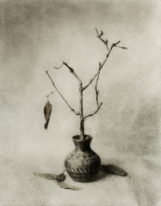 The last leaf by Alexander Tkachev, Photography, Large-format film ...